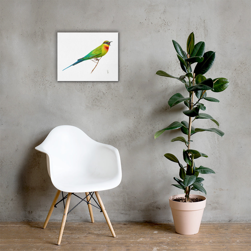 "Blue Tailed Bee Eater" (Merops Philippinus) Framed Canvas Print ...